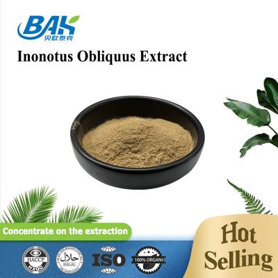 China Inonotus Obliquus Extract Supplement Powder 5:1 10:1 20:1 Polysaccharides 30% for sale