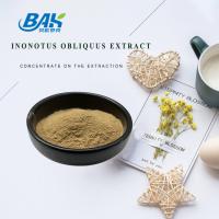 China Inonotus Obliquus Extract Supplement Powder 5:1 10:1 20:1 Polysaccharides 30% for sale