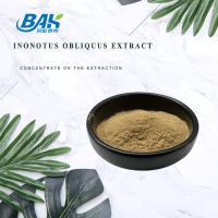 China Inonotus Obliquus Extract Supplement Powder 5:1 10:1 20:1 Polysaccharides 30% for sale