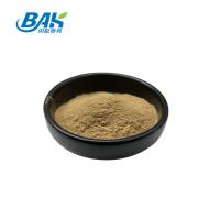 China Inonotus Obliquus Extract Supplement Powder 5:1 10:1 20:1 Polysaccharides 30% for sale