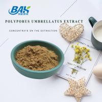 China HPLC Mushroom Extract Supplement Polyporus Umbellatus Extract for sale