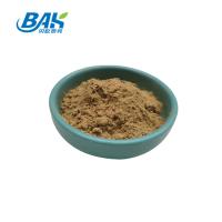 China HPLC Mushroom Extract Supplement Polyporus Umbellatus Extract for sale