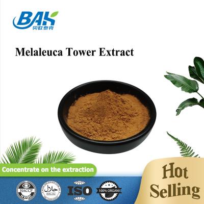 China Huperzia Serrata Extract Huperzine A Powder 1% 99% Immune Enhancing Supplement for sale