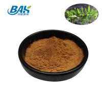 China Huperzia Serrata Extract Huperzine A Powder 1% 99% Immune Enhancing Supplement for sale