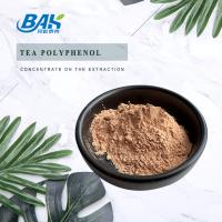 China Bulk Liver Protection Supplement Tea Polyphenols 98% Powder for sale