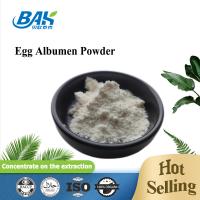 China 99% Egg White Albumen Powder Food Grade CAS 9010-10-0 for Baking and Bodybuilding for sale