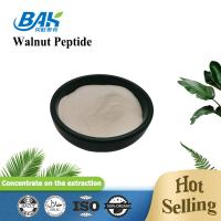 China Walnut Peptide Protein Powder 60% 70% for Medicines and Health Products 100 Mesh for sale