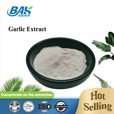 China Garlic Extract 1% - 5% Allicin Powder Immune Enhancing Supplements Antibacterial for sale