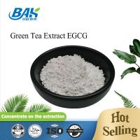 China EGCG Epigallocatechin Gallate 98% Green Tea Extract White Powder CAS 989-51-5 for sale