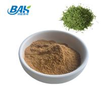 China Water Soluble Instant Green Tea Extract Powder 10:1 80 Mesh Fine Powder MOQ 1kg for sale
