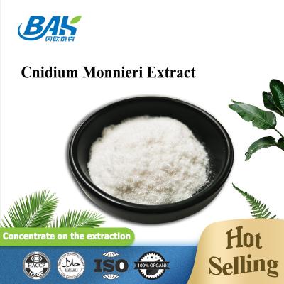 China Cnidium Monnieri Extract Osthole 98% Natural Herbal Extracts for sale