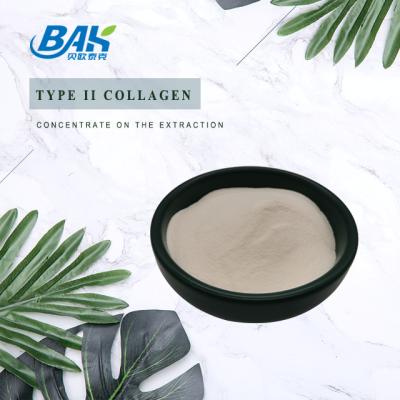 China 25% Peptide Protein Powder Cartilage Extract Type II Collagen Cosmetic Grade 40 Mesh for sale
