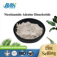 China Nicotinamide Adenine Dinucleotide NAD+ 99% Purity CAS 53-84-9 Anti-Aging White Powder for sale