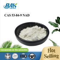 China Reduced Nicotinamide Adenine Dinucleotide NAD CAS 53-84-9 99% Purity White Powder for sale