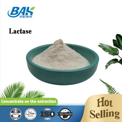 China Food Grade Lactase Powder 100000 ALU/G Natural Enzyme Additive for Dairy Processing for sale