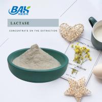 China Food Grade Lactase Powder 100000 ALU/G Natural Enzyme Additive for Dairy Processing for sale