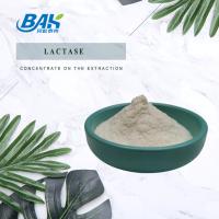 China Food Grade Lactase Powder 100000 ALU/G Natural Enzyme Additive for Dairy Processing for sale
