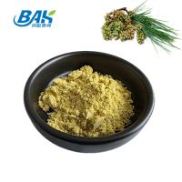 China Plant Extract Cell Wall Broken Pine Pollen Powder Bulk 99% for sale