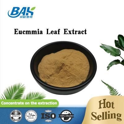 China Plant Extract Powder Eucommia Ulmoides / Leaf  Extract Powder for sale