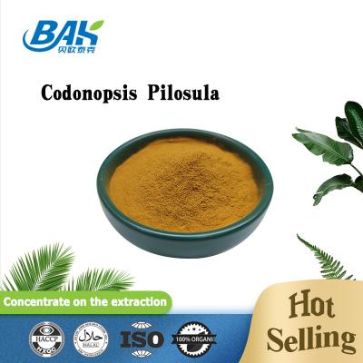 China Codonopsis Pilosula Root Extract Powder 10:1 80 Mesh Food Grade Bulk for sale