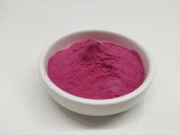 China 99.15% Cactus Purple Red Fruit and Vegetable Powder Halal ISO Certified for Weight Loss for sale