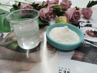 China HPLC Phaseolin 2% White Kidney Bean Extract Off White Powder for sale