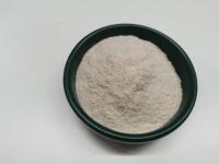 China Plantago Ovata Psyllium Seed Husks Powder 95% Pass 80 Mesh Dietary Fiber Supplement for sale