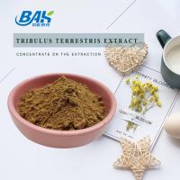 China Tribulus Terrestris Extract 98% Saponins Fine Powder Mens Health Supplement 80 Mesh for sale