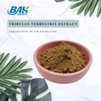 China Tribulus Terrestris Extract 98% Saponins Fine Powder Mens Health Supplement 80 Mesh for sale