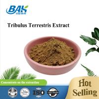 China Best Price Natural Tribulus Terrestris Extract Powder for sale