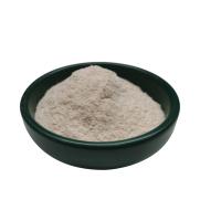 China Psyllium Husk Powder 95%-98% Dietary Fiber Weight Loss Supplement 80-100 Mesh for sale