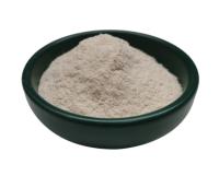 China Psyllium Husk Powder 95%-98% Dietary Fiber Weight Loss Supplement 80-100 Mesh for sale