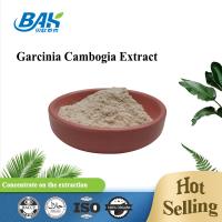China Garcinia Cambogia Extract 50% 60% HCA Off White Powder Weight Loss Supplement for sale