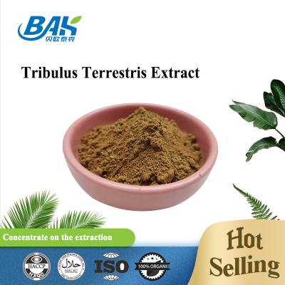 China Tribulus Terrestris Extract 90% Saponins 40% Protodioscin Weight Loss Supplement Powder for sale