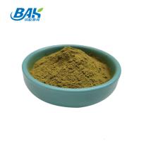 China Herb Extract Nutrient Supplement Powder Echinacea Extract Powder 1% - 4% for sale