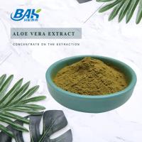China Herb Extract Nutrient Supplement Powder Echinacea Extract Powder 1% - 4% for sale