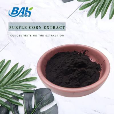 China BAK Factory Wholesale Anthocyanin 35% Zea Mays Purple Corn Extract Dark Purple Powder 80 Mesh for sale