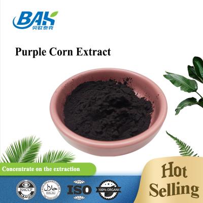 China Purple Corn Extract Anthocyanin 35% Dark Purple Powder Zea Mays B2B Bulk for sale