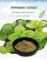 China Peppermint Extract 10:1 20:1 Mentha Haplocalyx Briq Brown Powder Immune Enhancing Supplement for sale