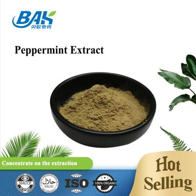 China Peppermint Extract 10:1 20:1 Mentha Haplocalyx Briq Brown Powder Immune Enhancing Supplement for sale
