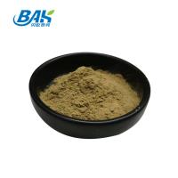 China Peppermint Extract 10:1 20:1 Mentha Haplocalyx Briq Brown Powder Immune Enhancing Supplement for sale