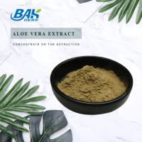 China Peppermint Extract 10:1 20:1 Brown Powder Mentha Haplocalyx Briq Immune Enhancing Supplement for sale