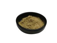 China Peppermint Extract 10:1 20:1 Mentha Haplocalyx Briq Brown Powder Immune Enhancing Supplement for sale