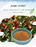 China Jujube Extract Light Yellow Fine Powder Polysaccharide 40% for Health Supplements for sale