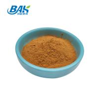 China Jujube Extract Light Yellow Fine Powder Polysaccharide 40% for Health Supplements for sale
