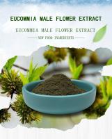 China Eucommia Male Flower Powder Mens Health Supplement Brown Green 99% Assay ISO9001 for sale