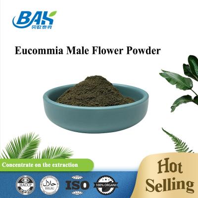 China Eucommia Male Flower Powder Mens Health Supplement Brown Green 99% Assay ISO9001 for sale