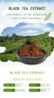 China BAK Black Tea Extract Reddish Brown Powder 10% 20% 60% 80% for sale