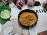 China Safflower Extract 10:1 Fine Powder 80 Mesh Women Health Supplement for sale