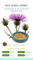 China Silymarin Liver Protection Supplement Milk Thistle Extract for sale
